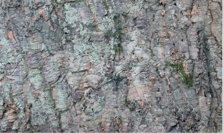 Papel Corcho - Arte Pesebre